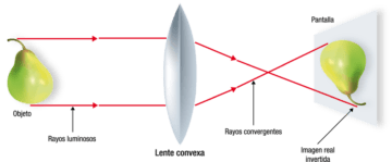 LUPA: TODO SOBRE ESTE FAMOSO INSTRUMENTO